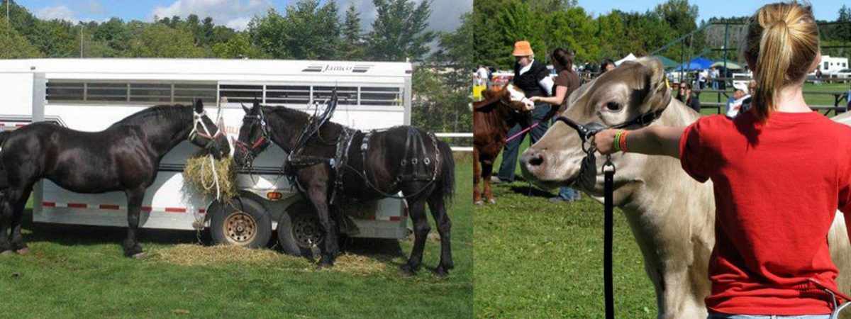 Port Hope Fair – SEPTEMBER 18, 19, 20, 2020