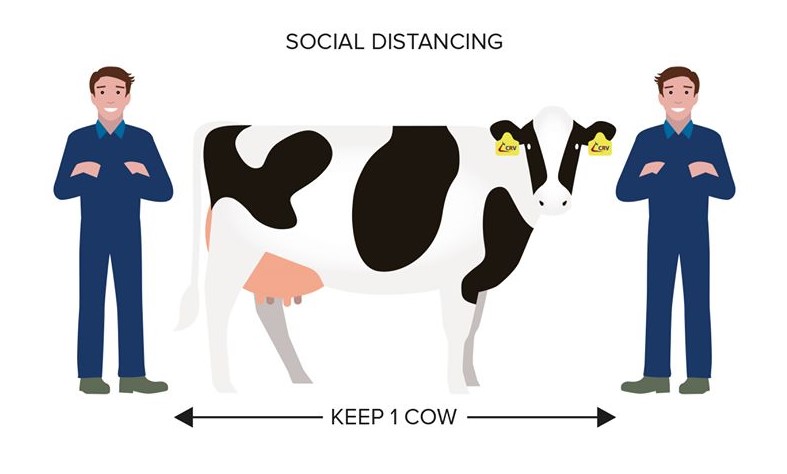 Port Hope Fair – SEPTEMBER 17, 18, 19, 2021